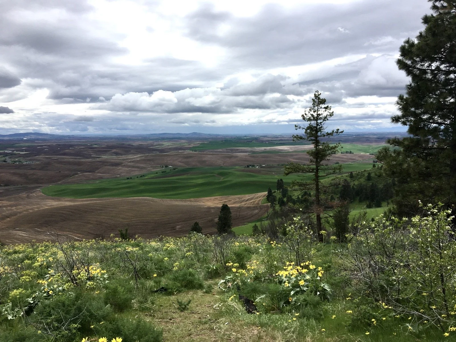 Recreation — Visit Palouse!