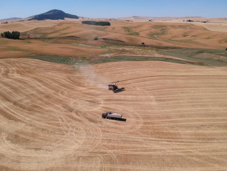 Visit Palouse! | Explore Palouse — Discover Local Charm