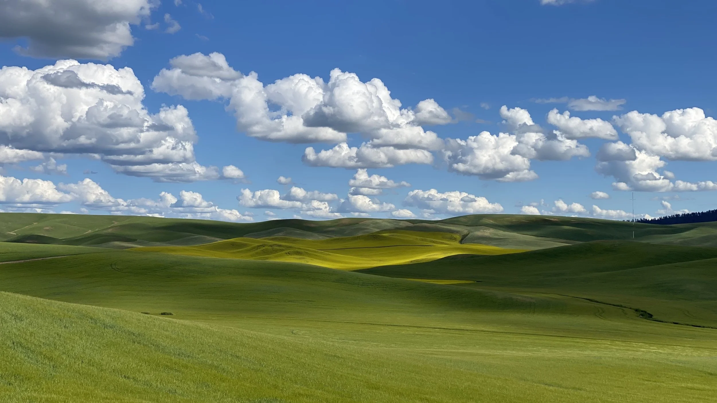 Services — Visit Palouse!