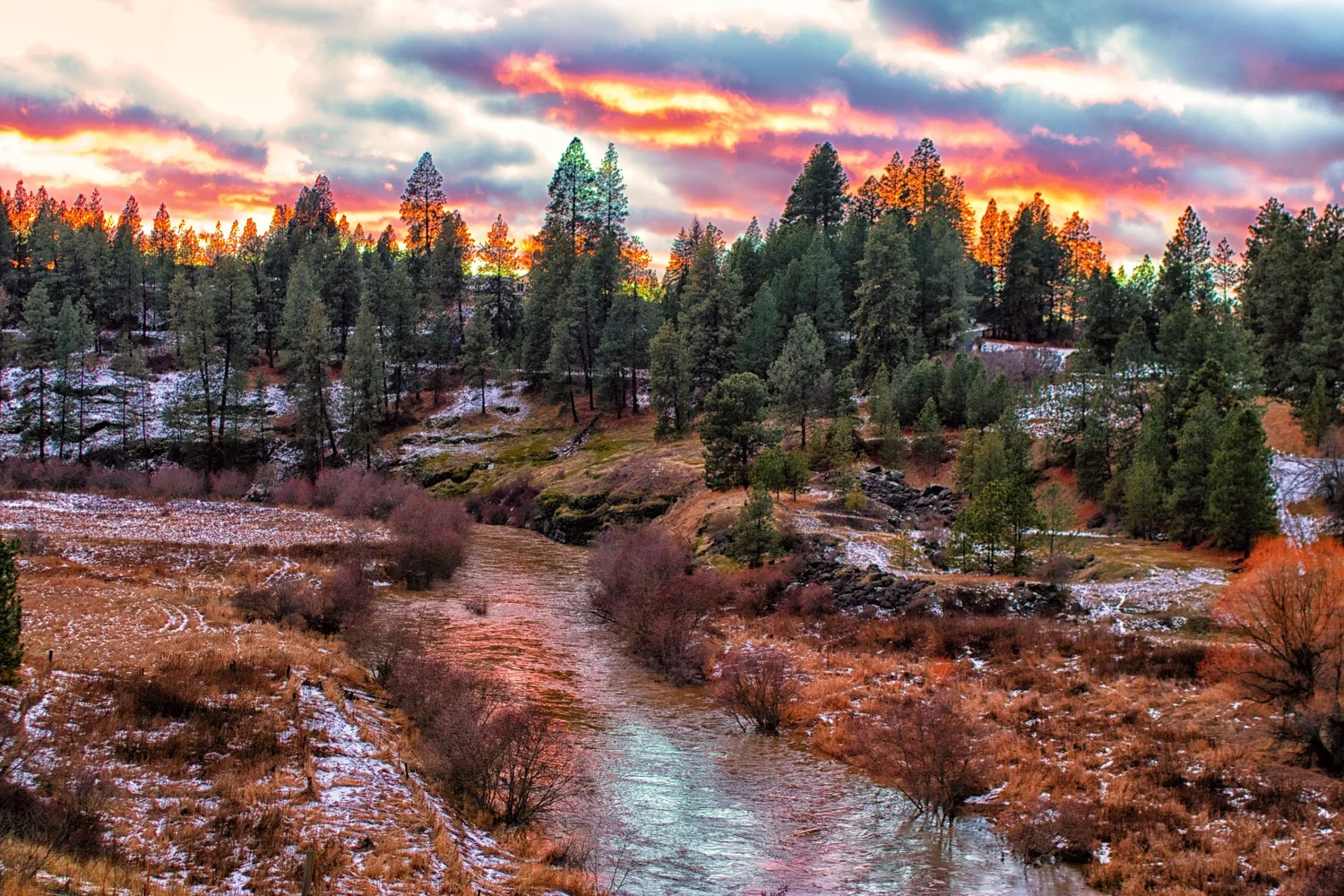 Community Events — Visit Palouse!