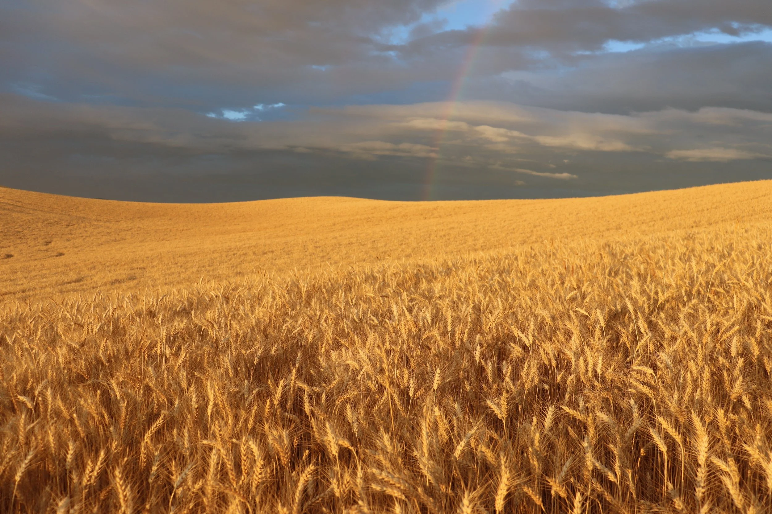 Community Events — Visit Palouse!