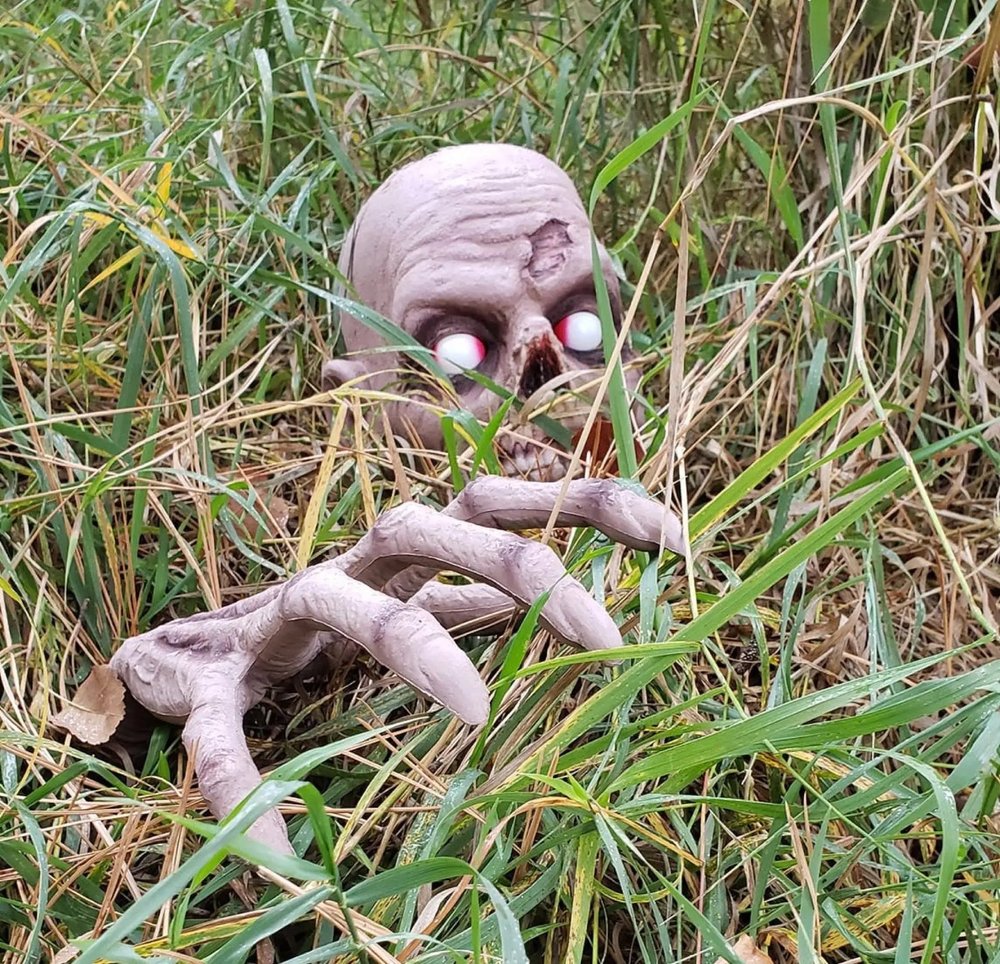 Cultural — Visit Palouse!