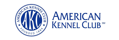 The Golden Girls Retrievers | AKC-Certified Puppy Breeders