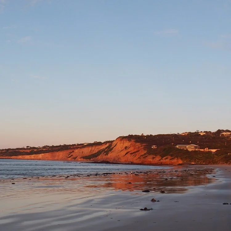 Anglesea Medical