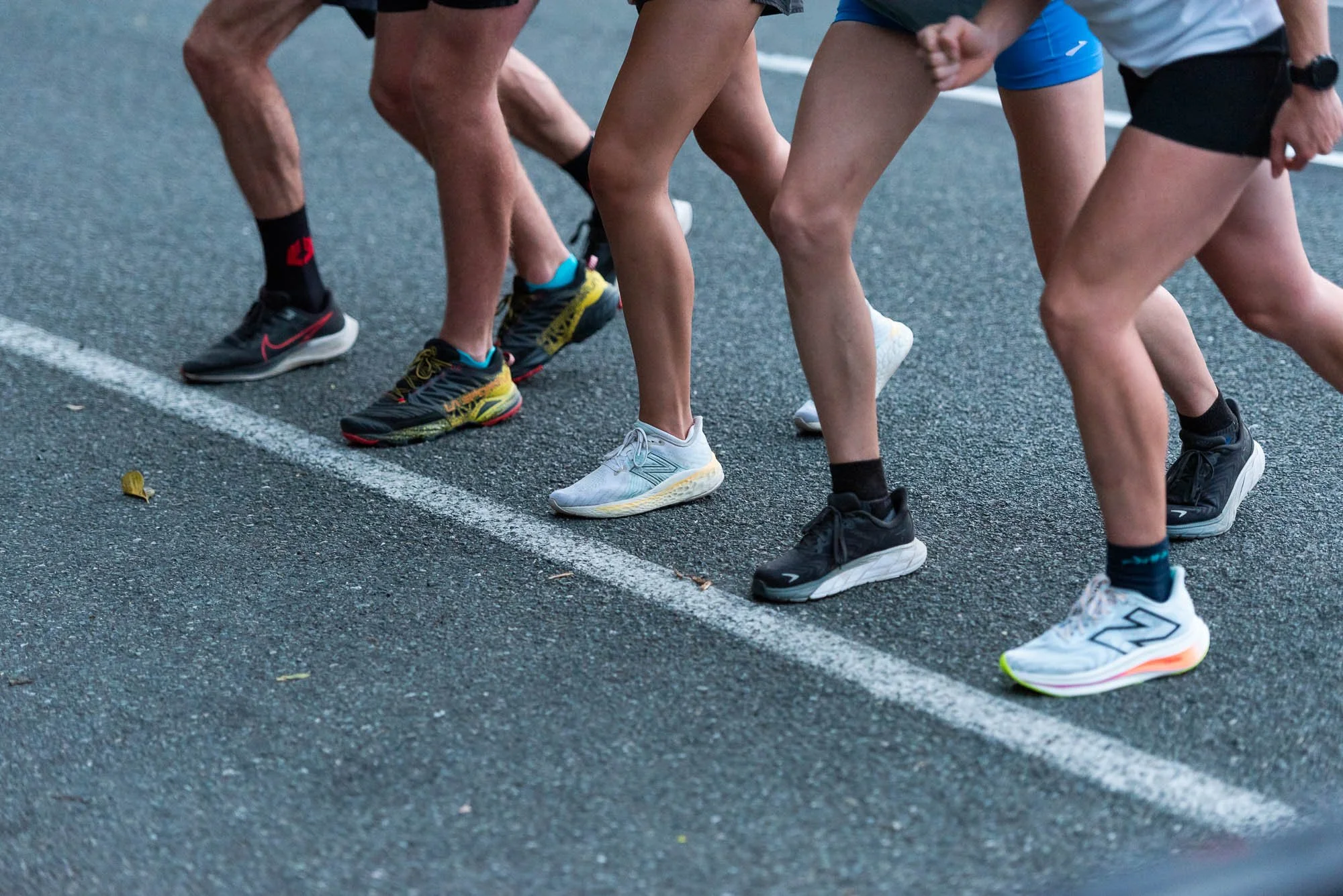 Run your fastest in our Open 5km Road Race — The Spectacle NZ