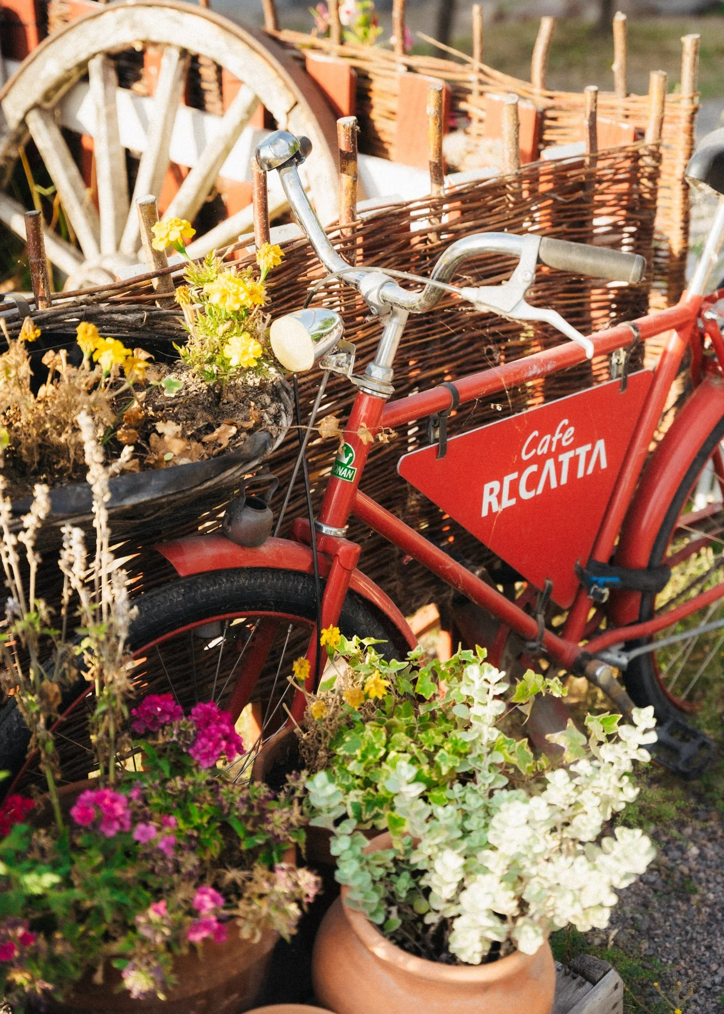 Cafe Regatta briefly in English — Cafe Regatta