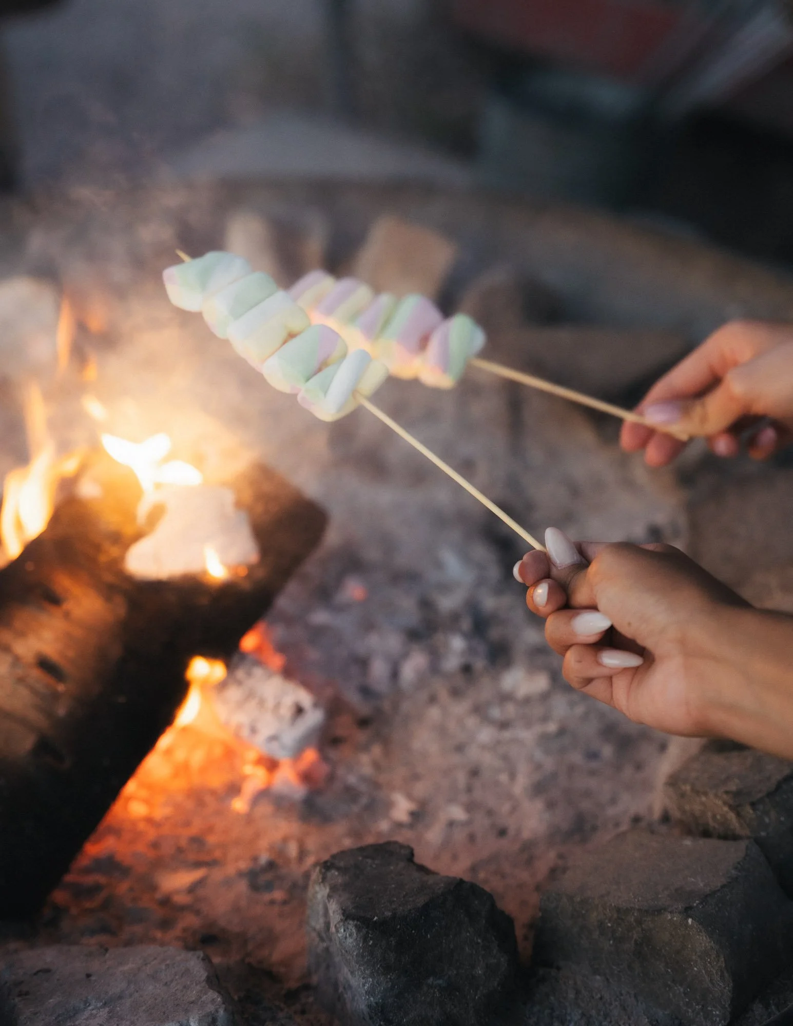 Cafe Regatta briefly in English — Cafe Regatta