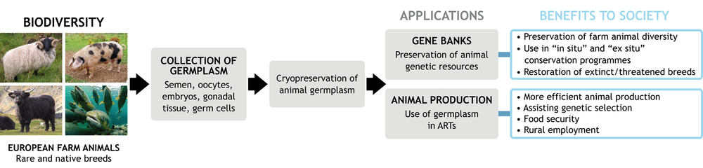 Introduction and Background — CryoStore Project