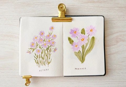 Tackle the Blank Page: Drawing Tips for Beginners — Dear Elaine: Cozy ...