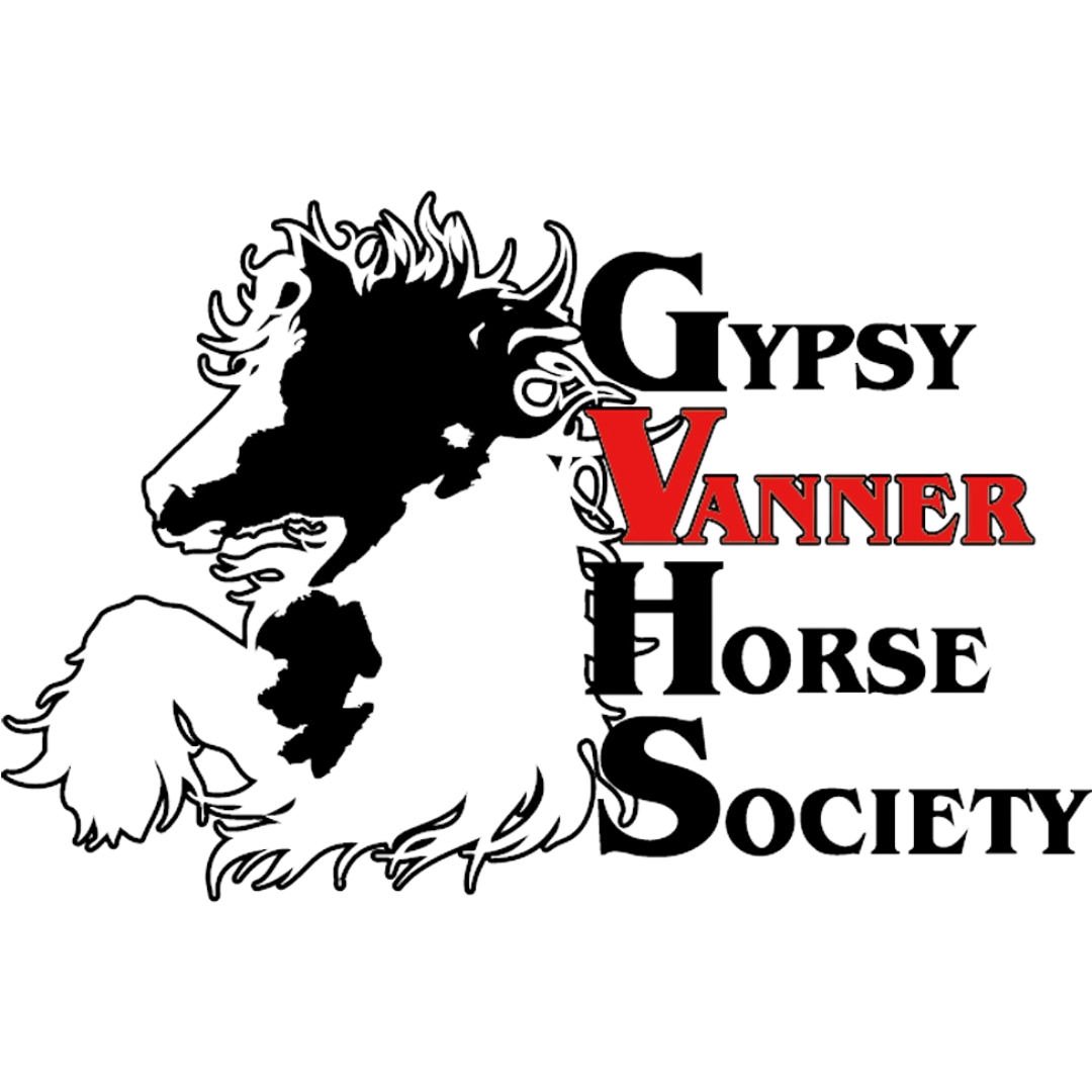 La Historia Gypsy Vanner — LE RÊVE NOIR