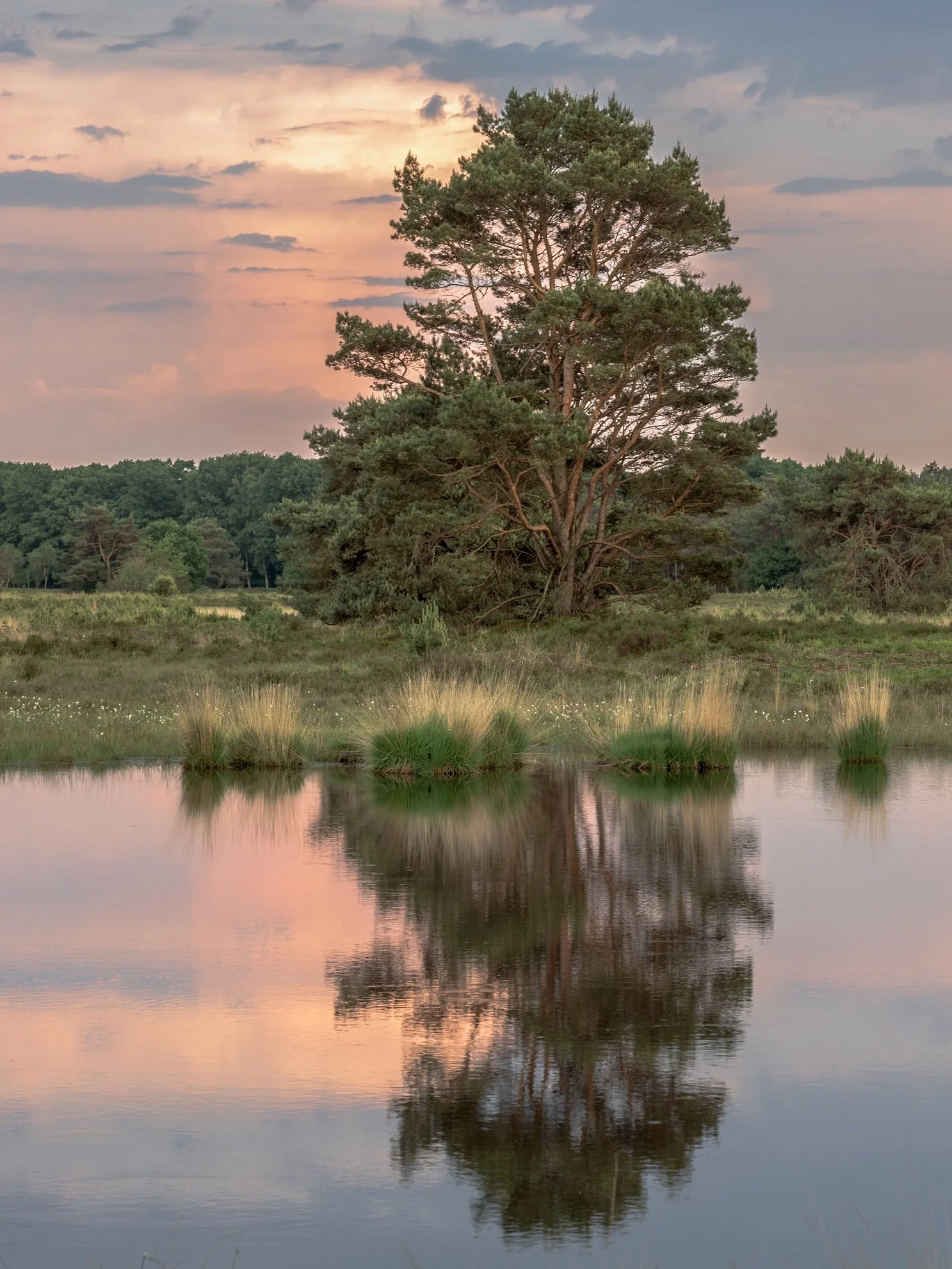 Natuur en Milieu Epe