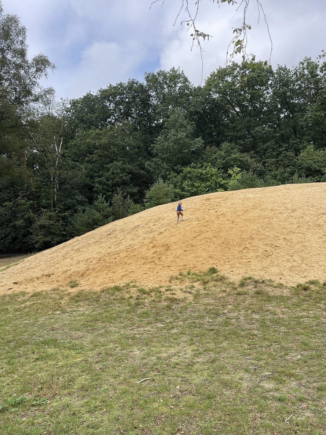 Netwerk — Natuur en Milieu Epe