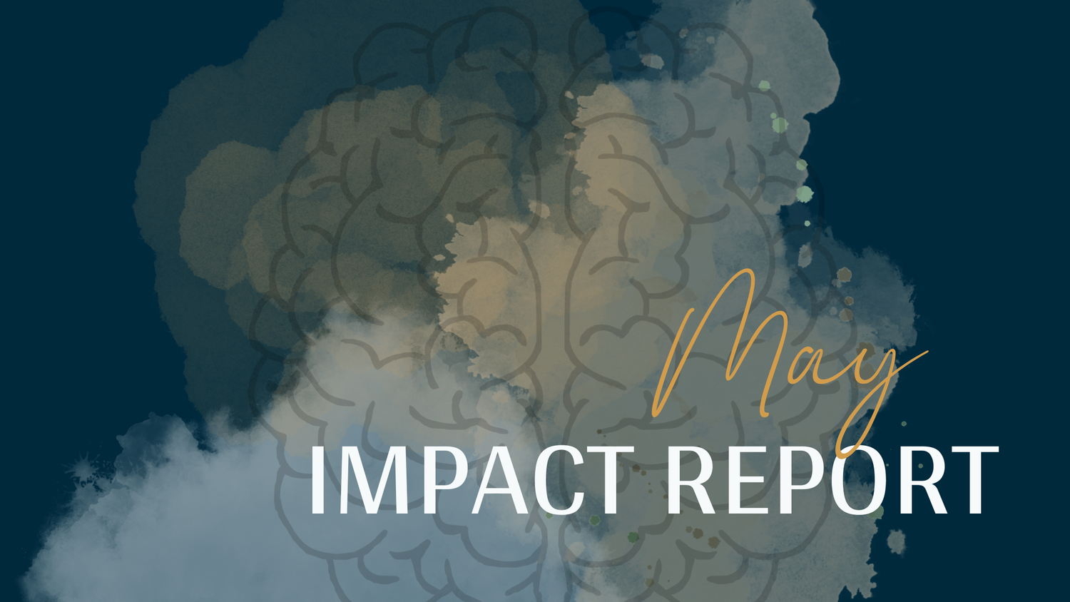 May 2025 Impact Report — Healing With Hyperbarics