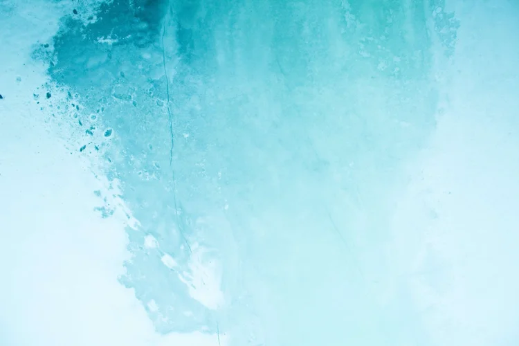 ROOTS IN THE CLOUDS | Dimple Dhabalia