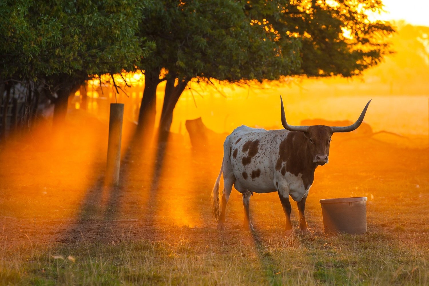 Texas — Valor Home Loans