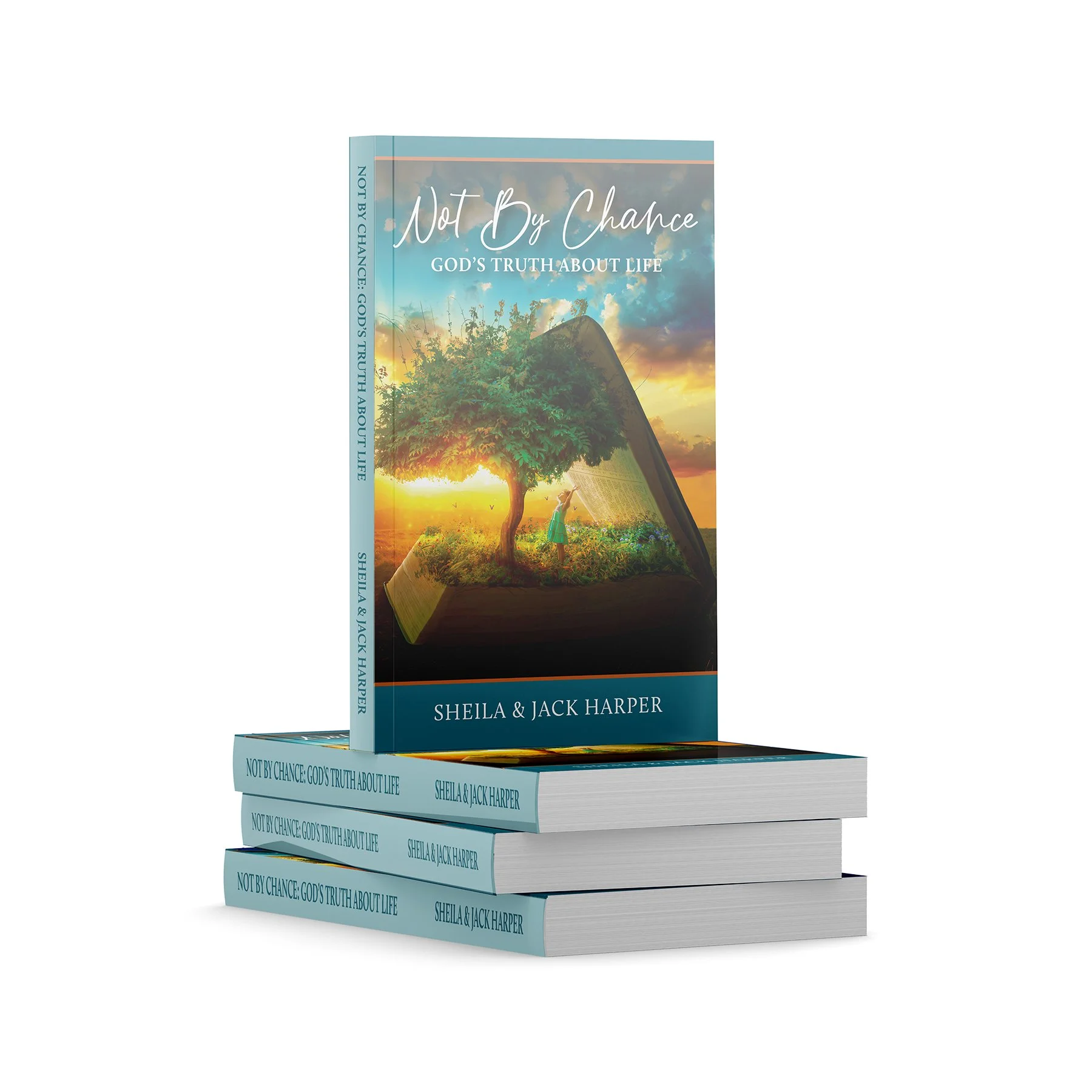 Not By Chance - God's Truth About Life — Save One