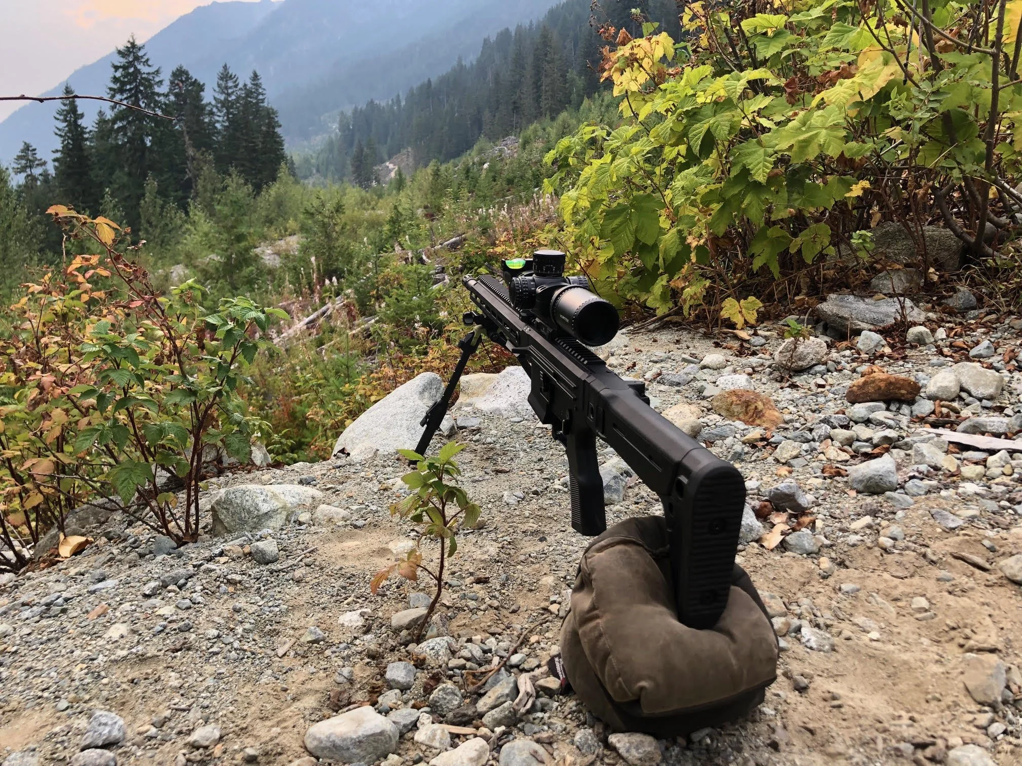 The scoped carbine, an outline and ammo/optic considerations — Canadian ...
