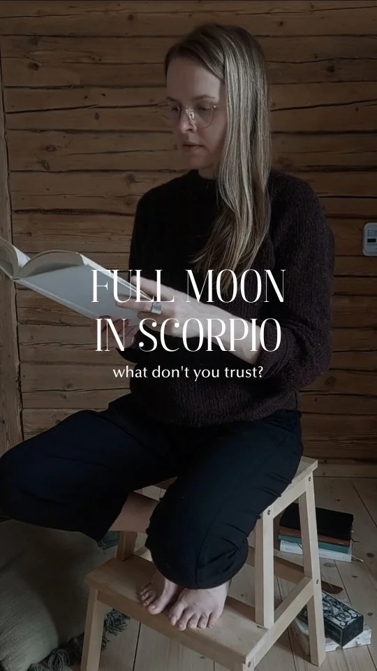 Midheaven in your birth chart — The Fox Hill Witch