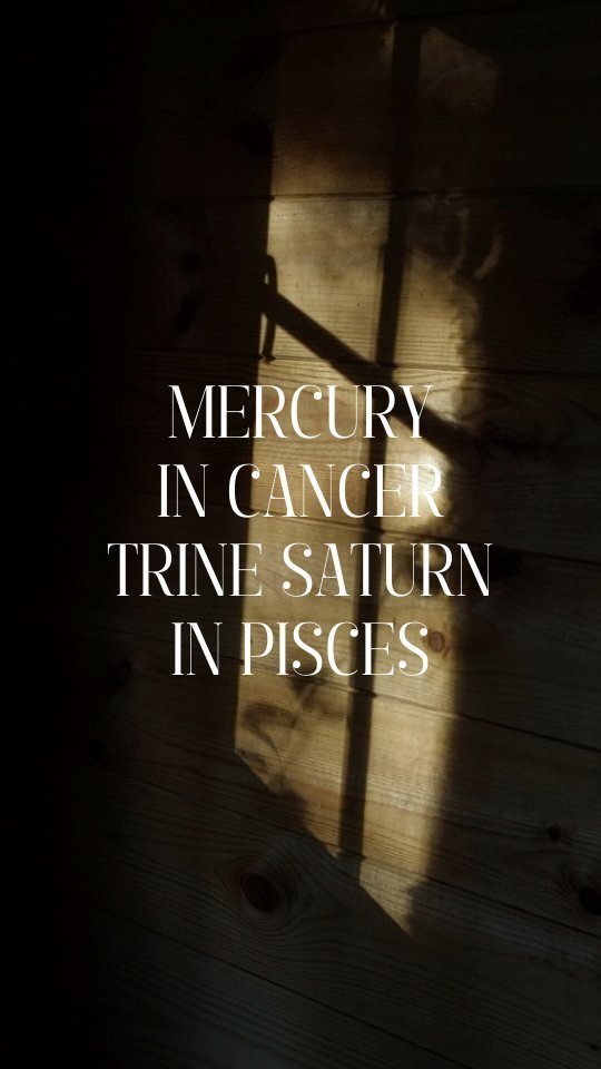 North Node Meaning in Your Birth Chart — The Fox Hill Witch