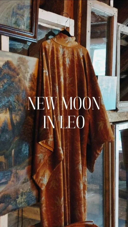 South Node meaning — The Fox Hill Witch