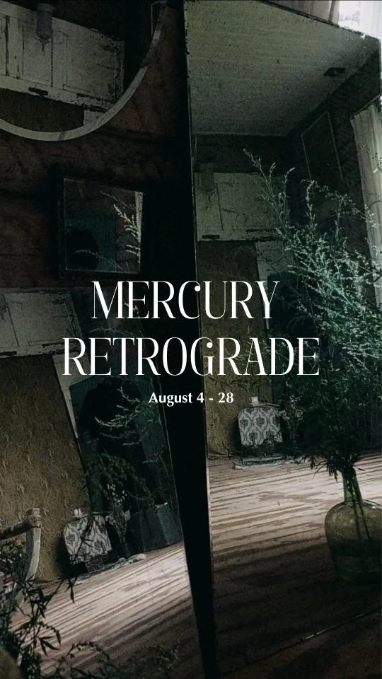 South Node meaning — The Fox Hill Witch