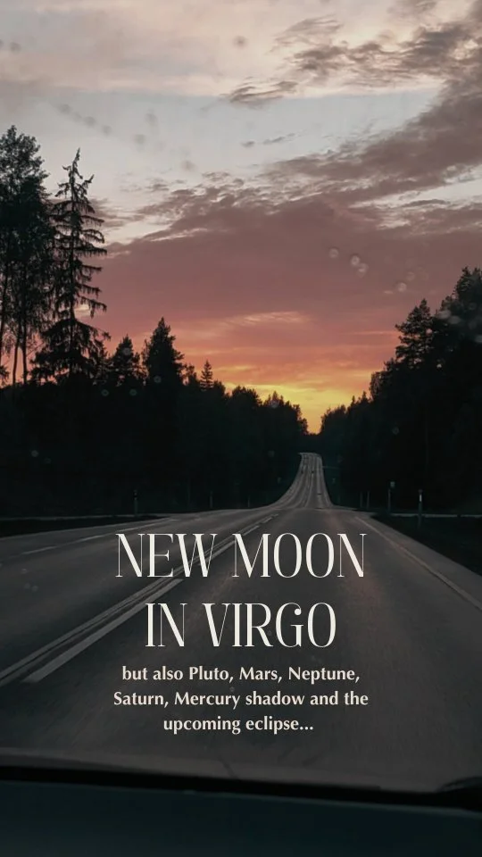 North Node Meaning in Your Birth Chart — The Fox Hill Witch