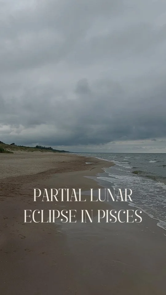 North Node Meaning in Your Birth Chart — The Fox Hill Witch