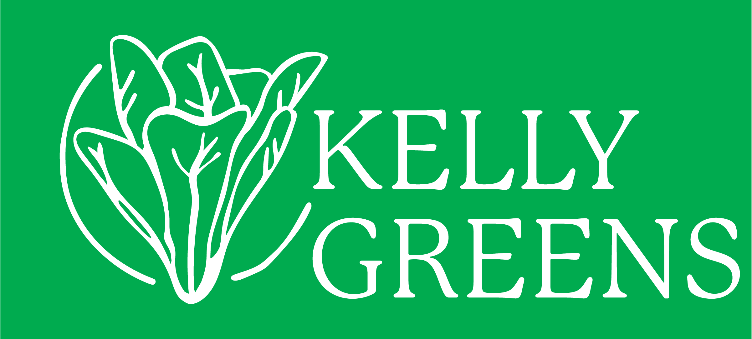 Spicy Salad Microgreen Mix — KELLY GREENS