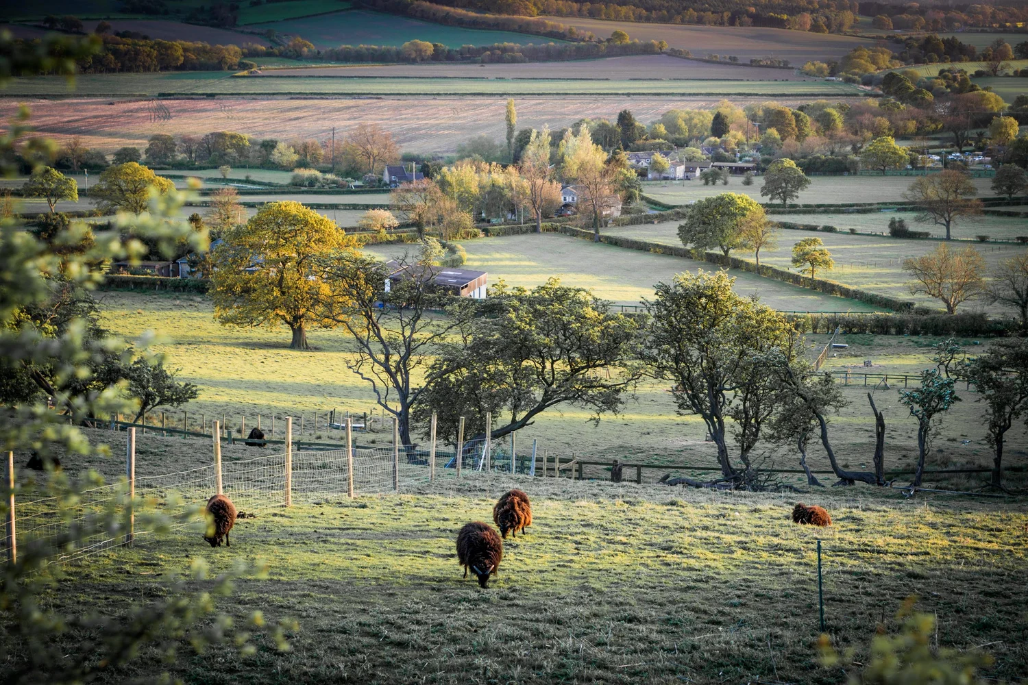 20 Rewilding Lessons from Isabella Tree’s 'Wilding' Book — The Good ...