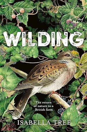 20 Rewilding Lessons from Isabella Tree’s 'Wilding' Book — The Good ...