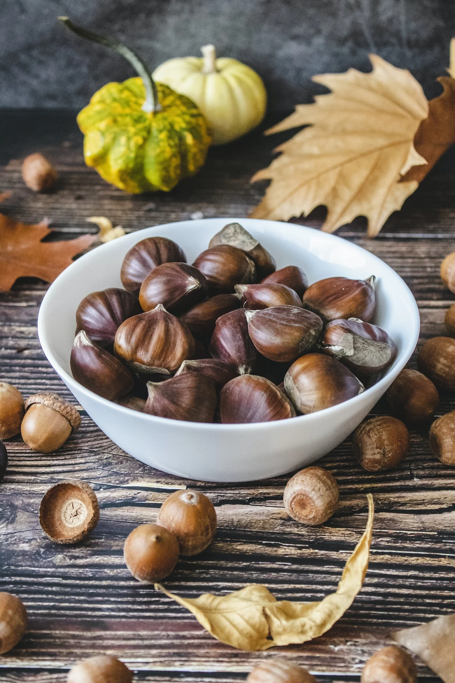 LaFever Chestnuts