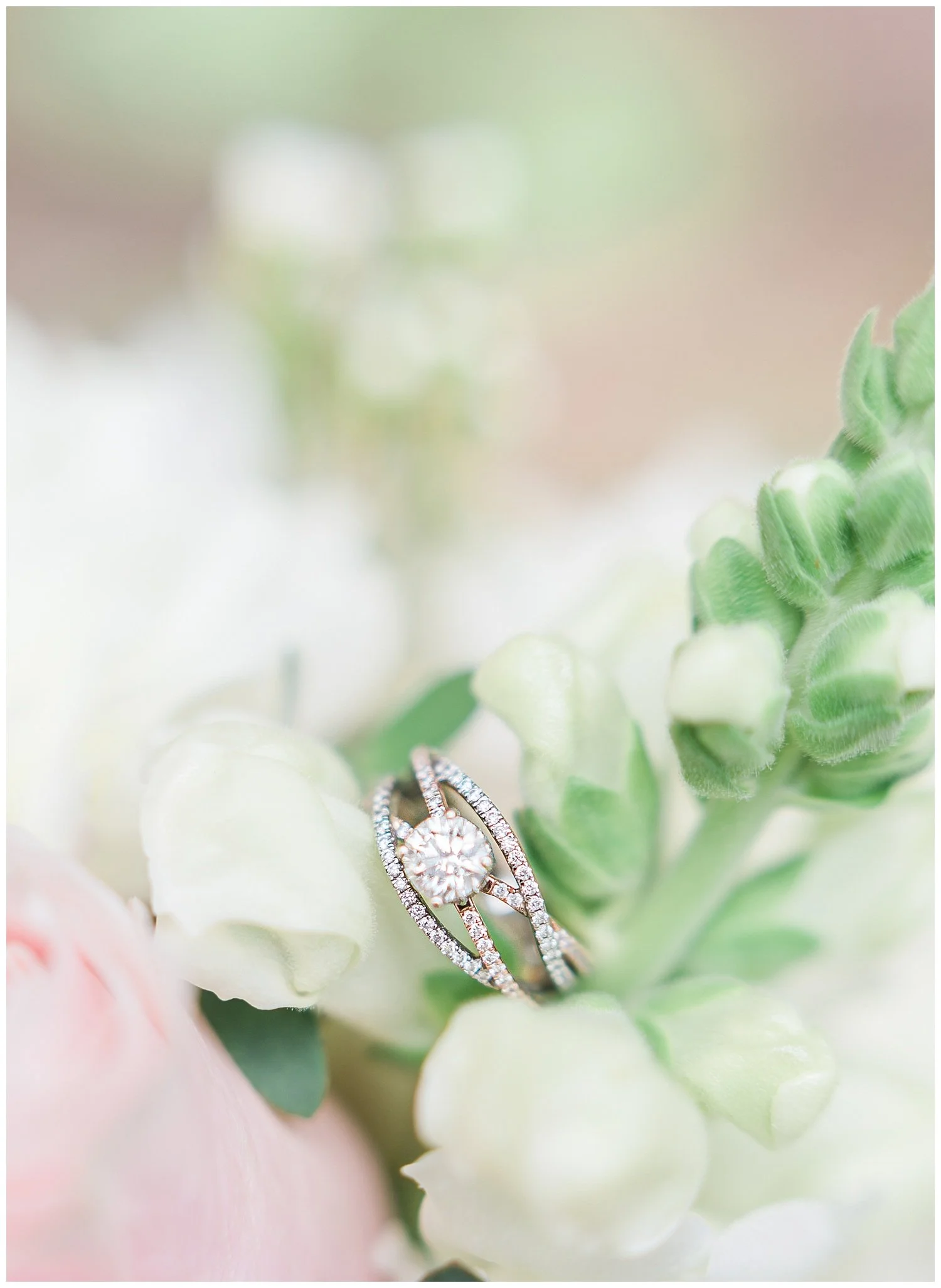 Richmond Wedding Photographer | Laura Hoyle - Richmond VA Wedding ...