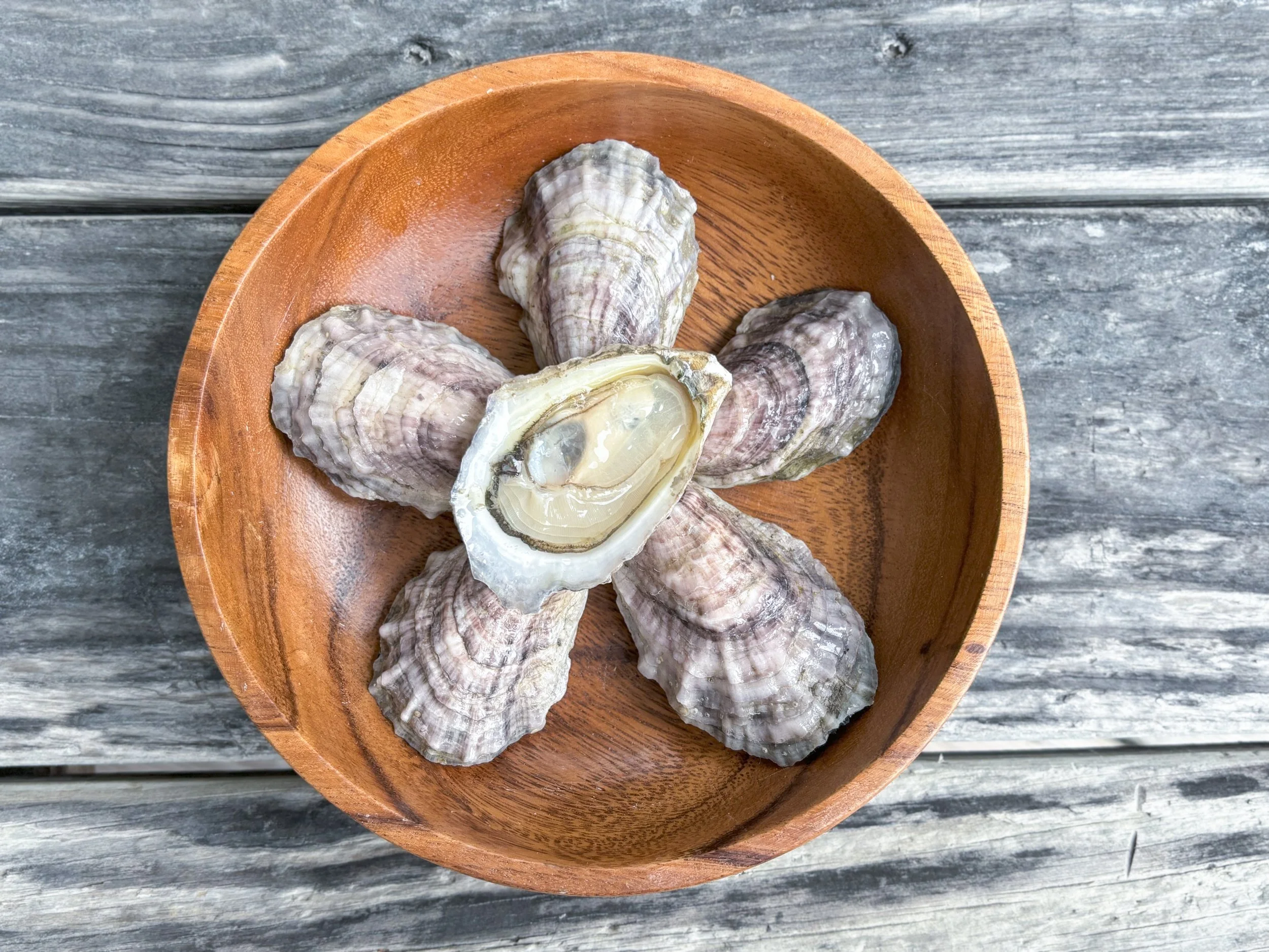 Big Tree Oysters in Rockport, Texas