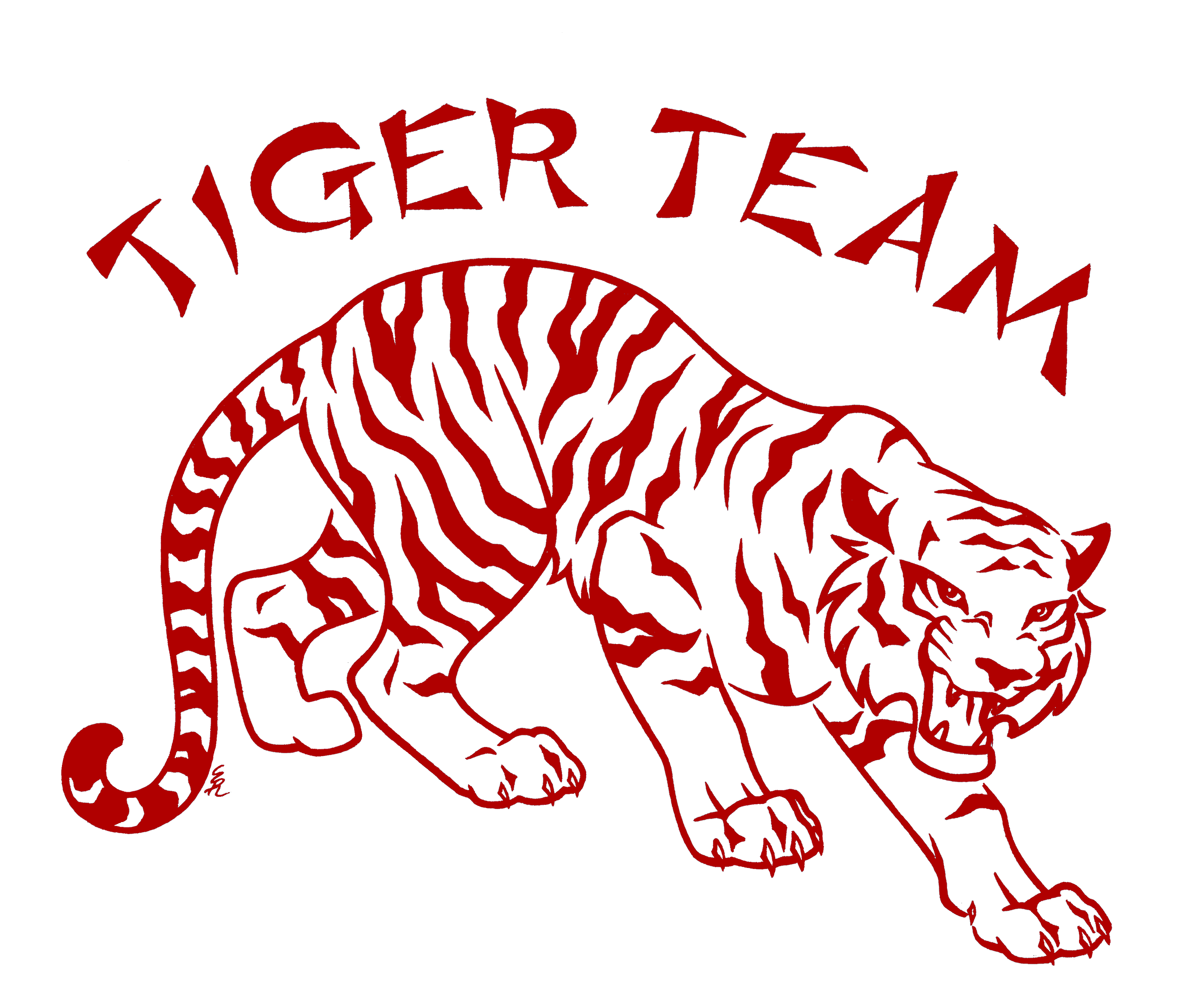 Tiger Team