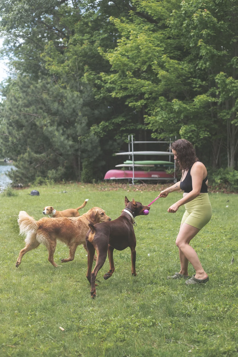 Tails & Traills | Join the Pack Now