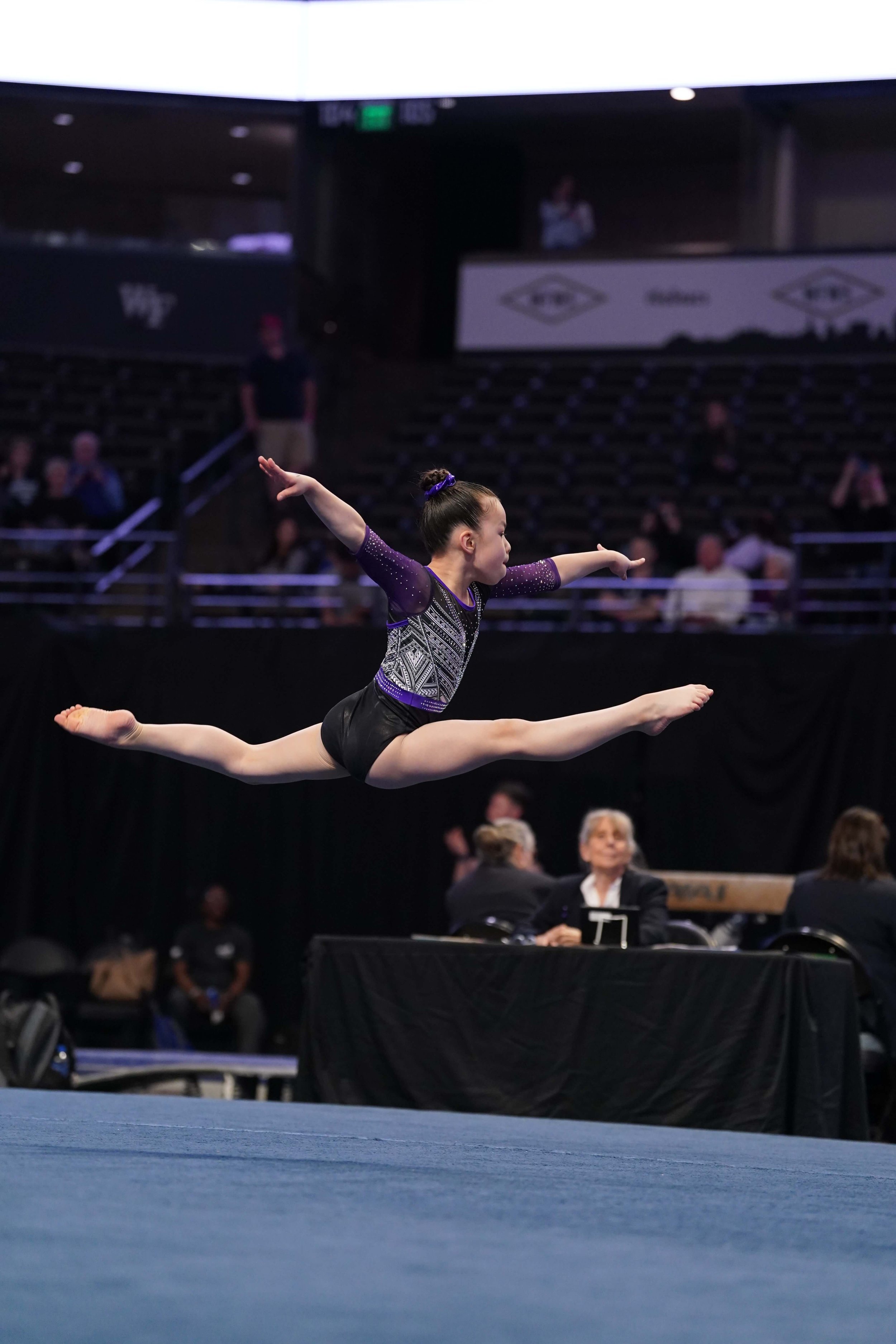 USA Gymnastics Region 8