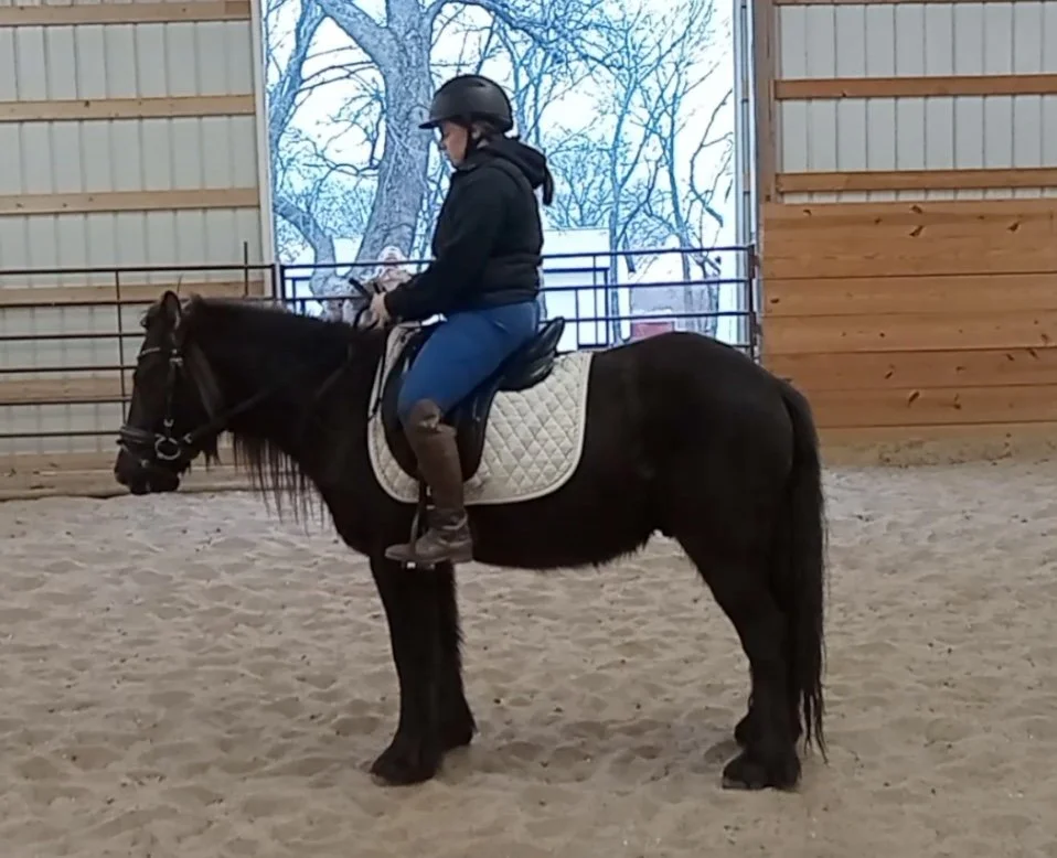 Ponies For Sale — Kimberlake Farm