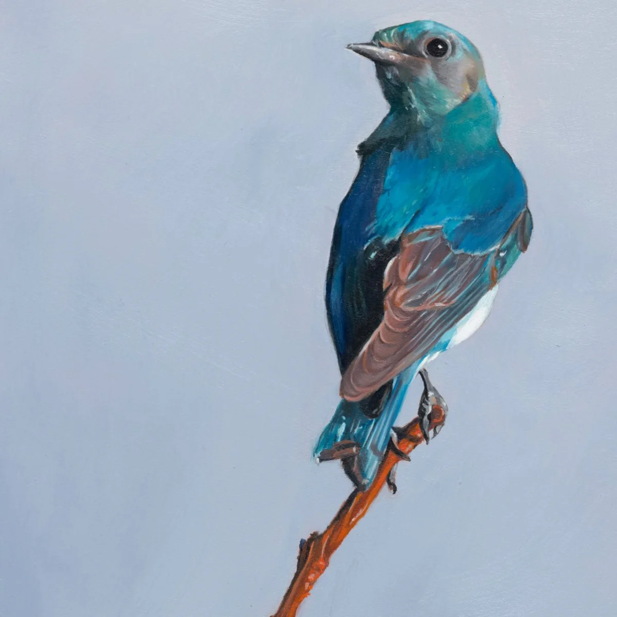 Idaho Wildlife Artist Paige Weber