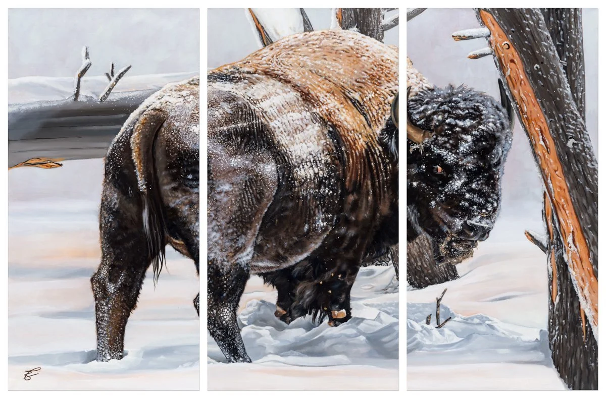 Magic Valley Art & Soul 2023 — Idaho Wildlife Artist Paige Weber