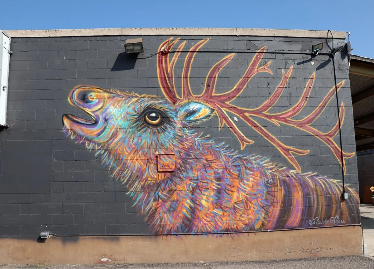 The Pocatello Guide to Murals + Local Public Art — Idaho Wildlife ...