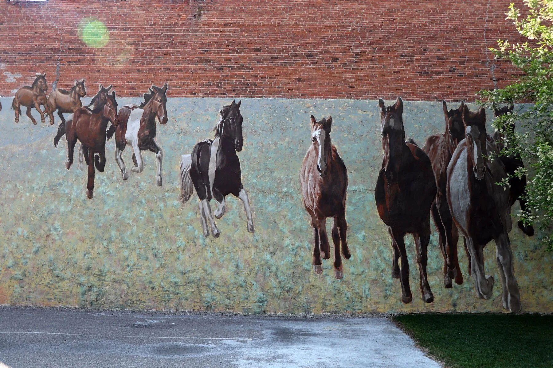 The Pocatello Guide to Murals + Local Public Art — Idaho Wildlife ...
