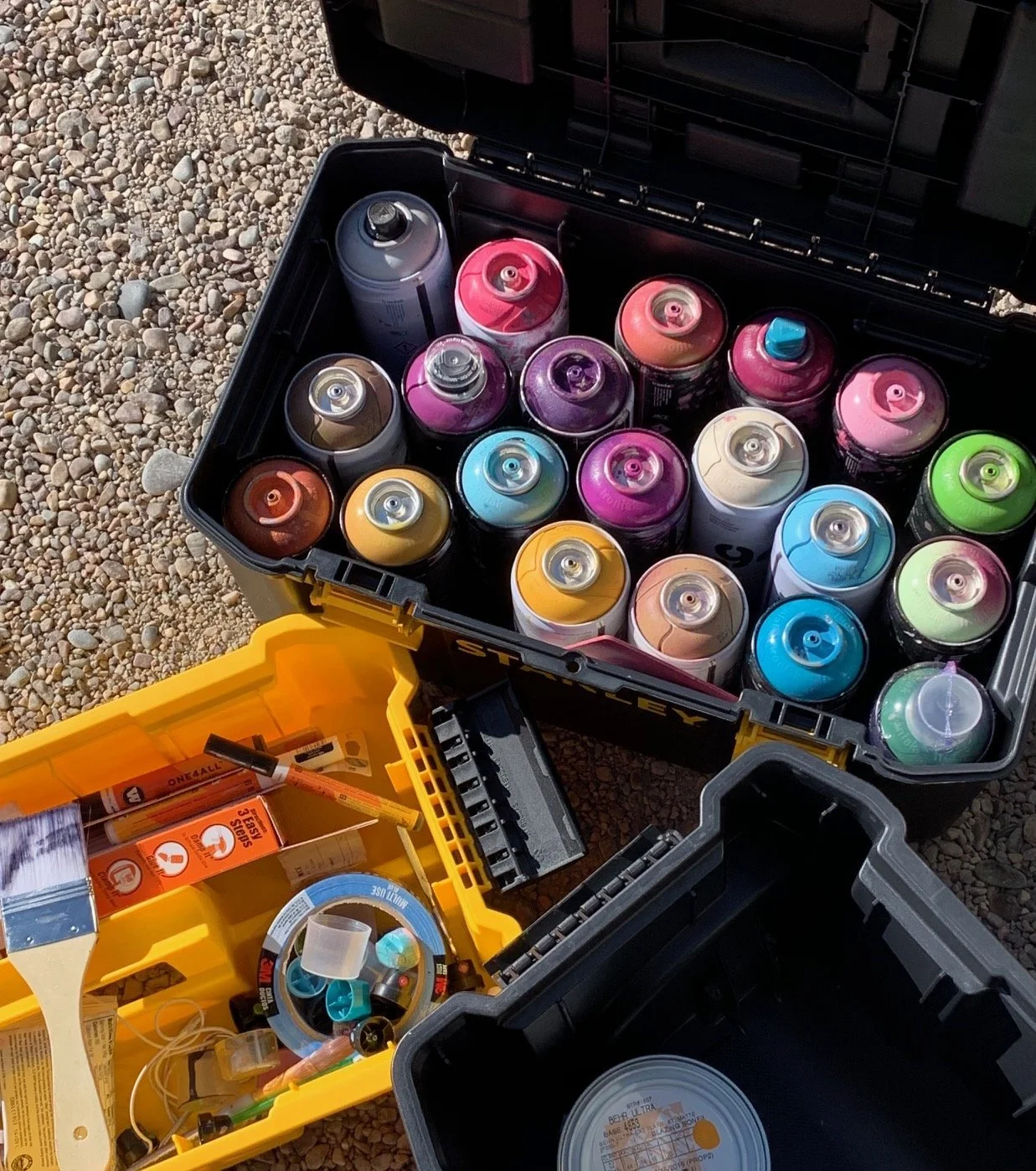 The Complete Guide of Questions to Ask When Hiring a Muralist — Idaho Wildlife Artist Paige Weber