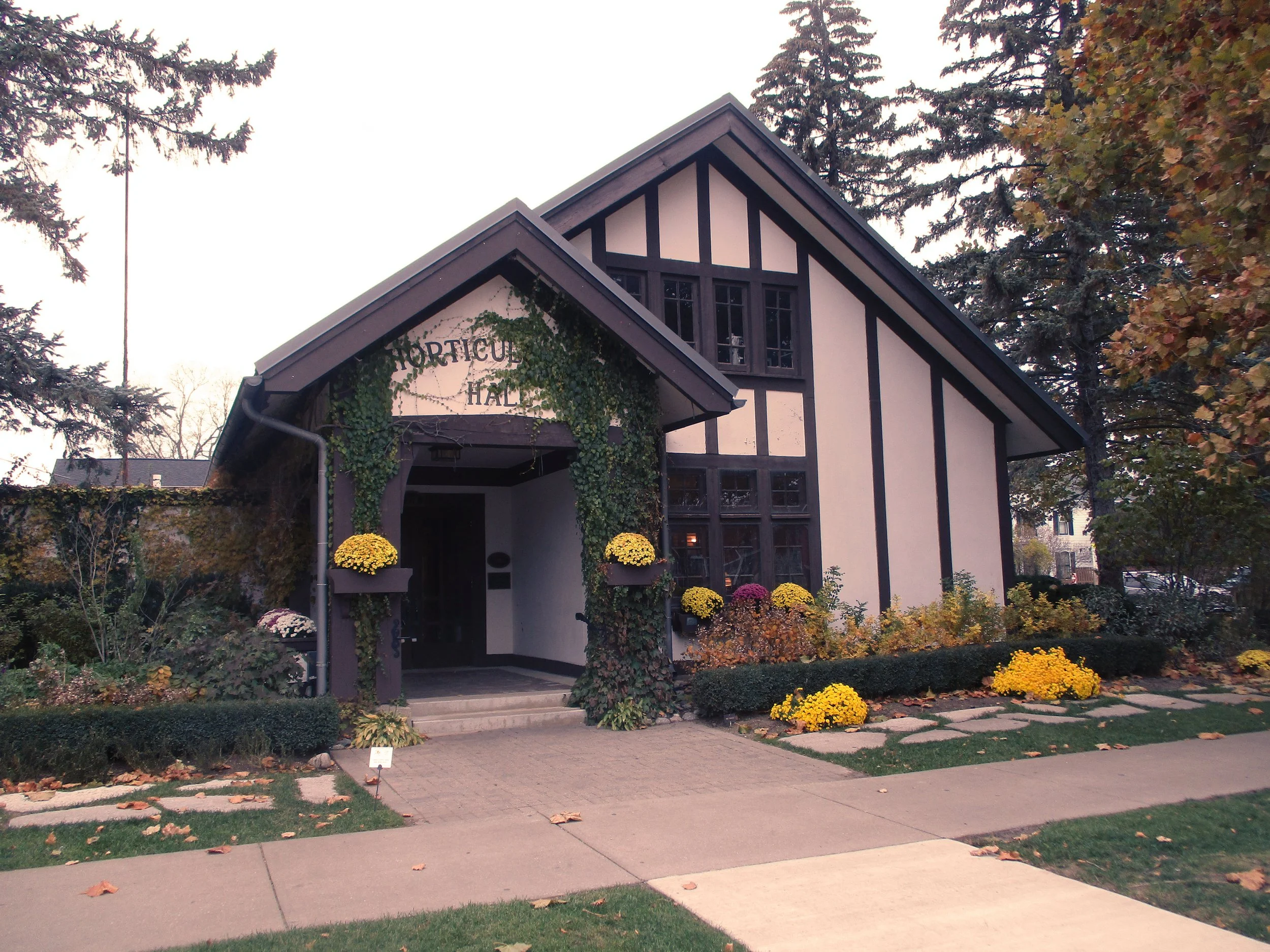 Festival Venues & Activities — DRAGON DAYS™ FANTASY FESTIVAL