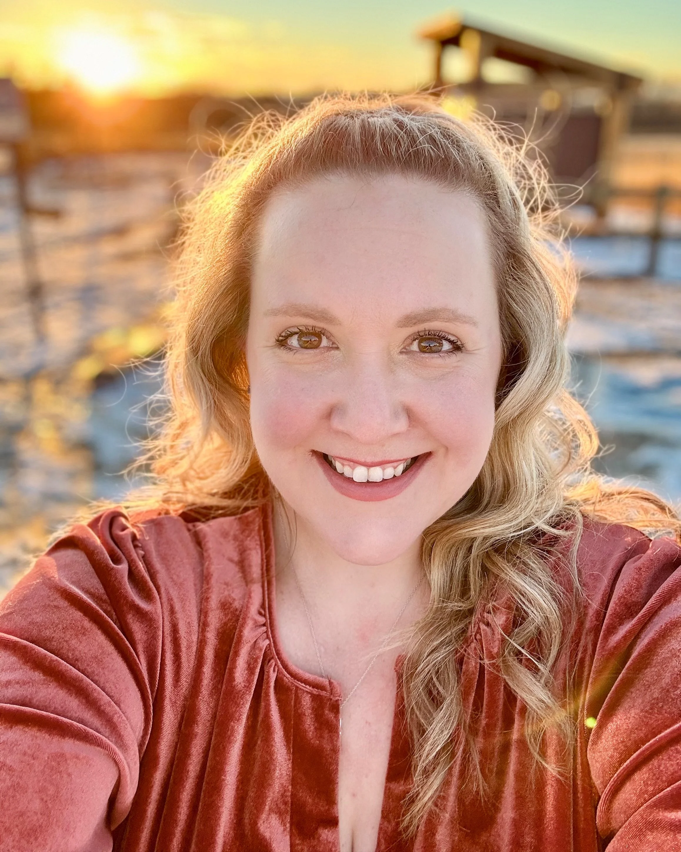 Stephenie Surber — Iris Partnering