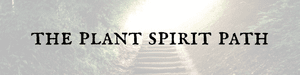 The Plant Spirit Path