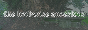 Connecting to the Herbwise Ancestors