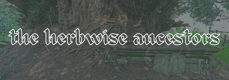 Connecting to the Herbwise Ancestors