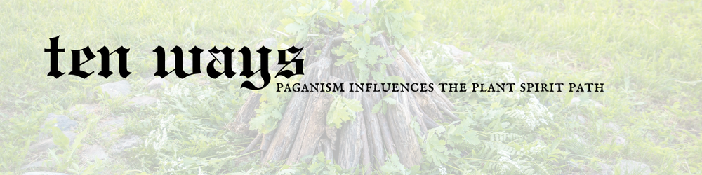 Paganism & The Plant Spirit Path