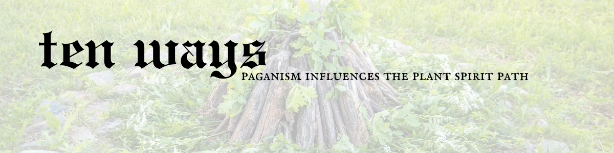 Paganism & The Plant Spirit Path