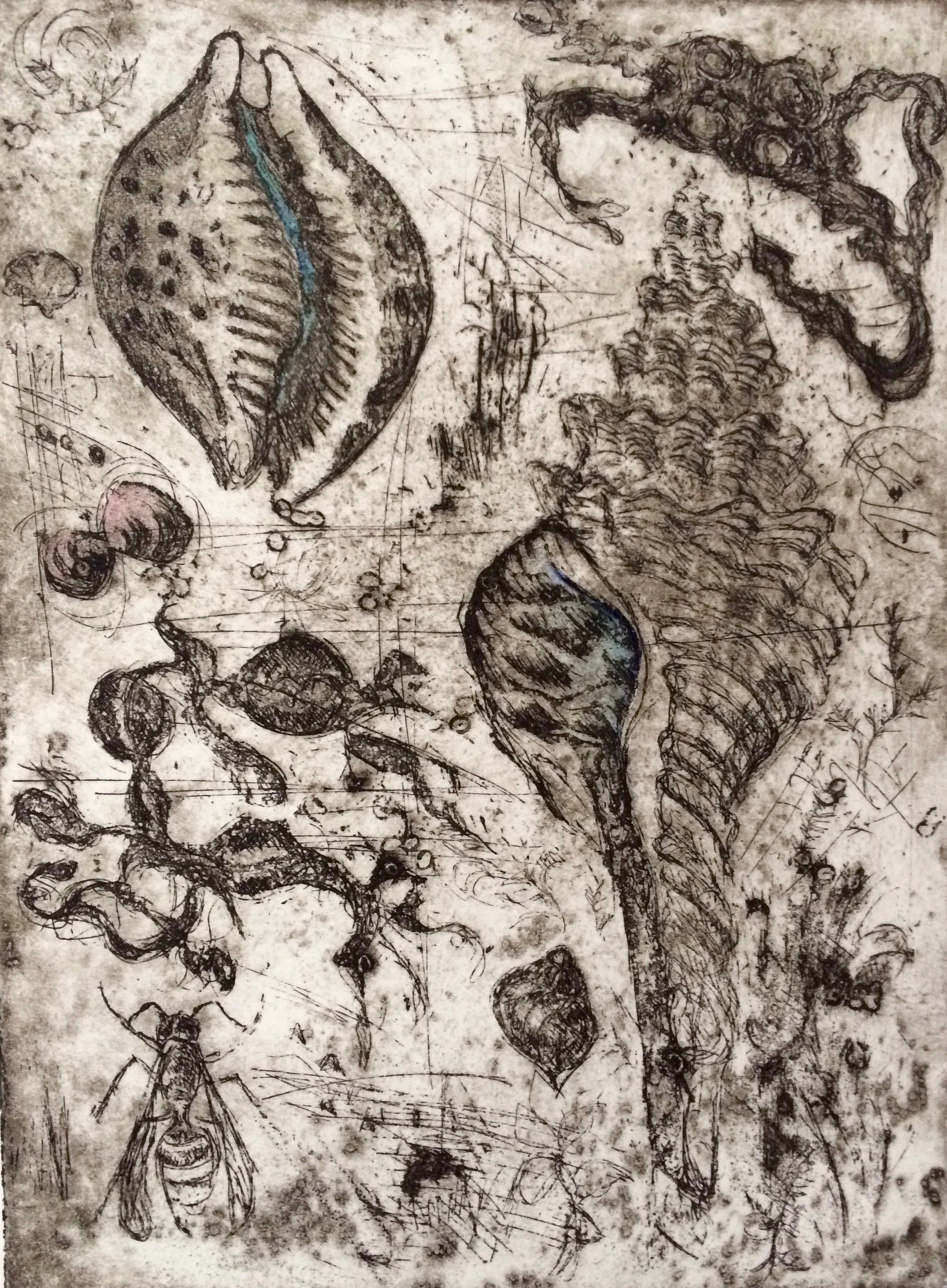 Jo Austen – About & Portfolio — Quercus